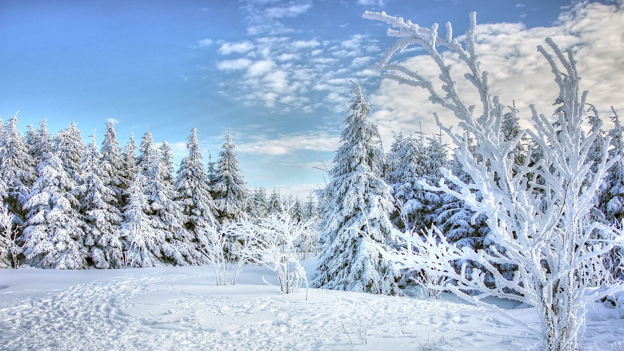 calming and soothing music with winter ambient for relaxing, studying ...