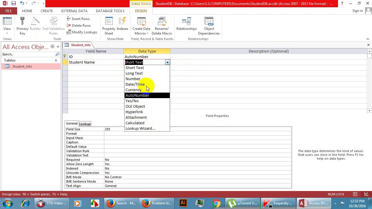 access introduction class datatype description - YouTube