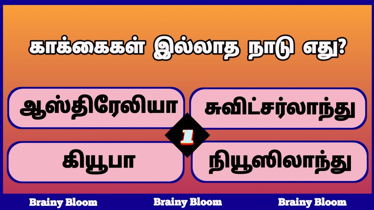 Important Tnpsc Exam Questions - General Knowledge Quiz/ Brainy Bloom ...