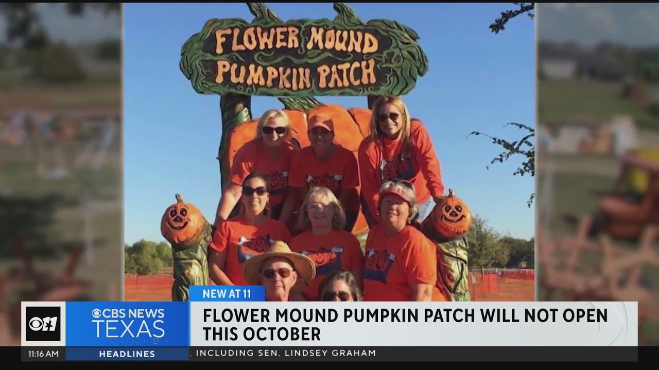 Flower Mound Pumpkin Patch won't be opening this fall - YouTube