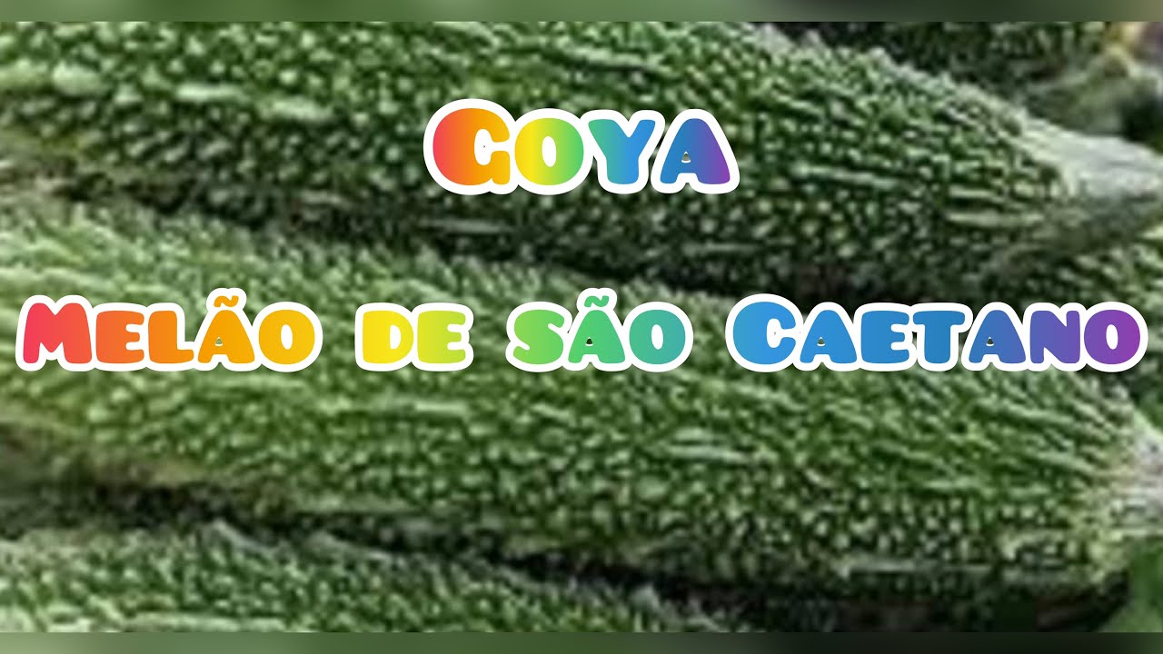 NIGAGORI | MELÃO DE SÃO CAETANO | GOYA‼️ - YouTube