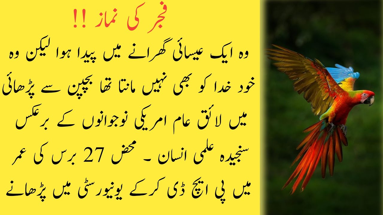 islamic story in urdu written | Best urdu stories | moral stories | 403 ...