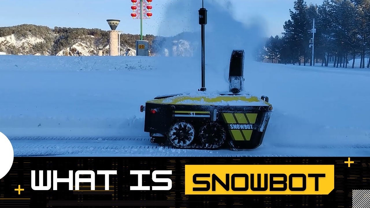 Stop Removing Snow In Your Driveway And Yard, Let a Robot Do It For You ...