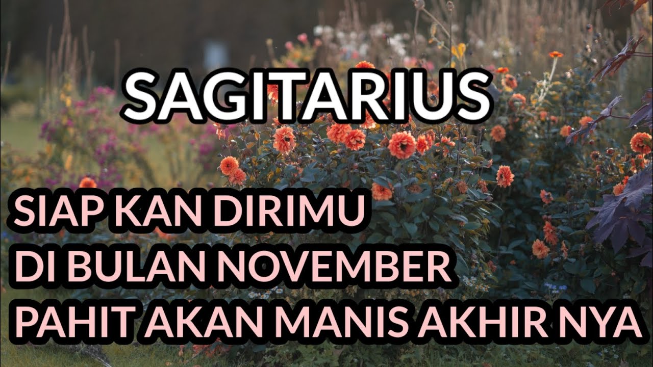 SAGITARIUS 💞SIAPKAN DIRIMU DI BULAN NOVEMBER PAHIT AKAN MANIS AKHIRNYA ...