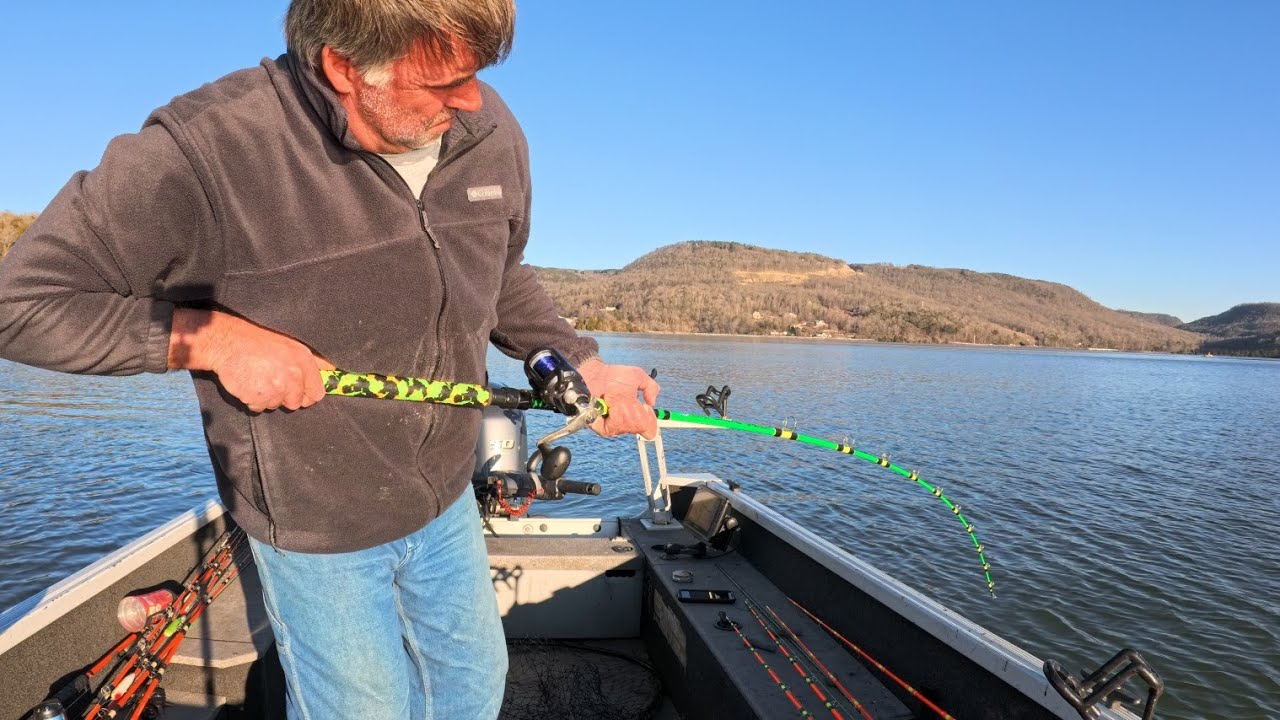 60 Pound Blue Catfish At Hales Bar - YouTube