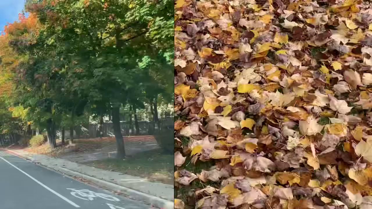 Fall times in the maritimes! - YouTube
