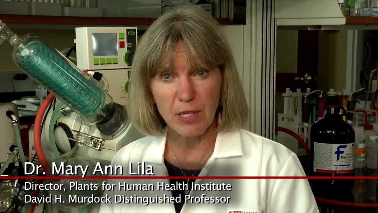 Mary Ann Lila - Alchetron, The Free Social Encyclopedia