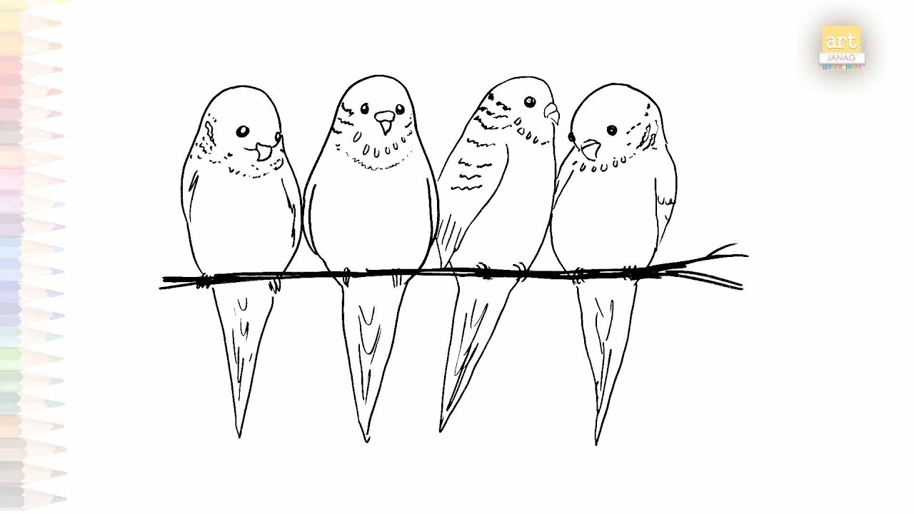 Group parakeets drawing easy | Art tutorial | How to draw Parakeet ...