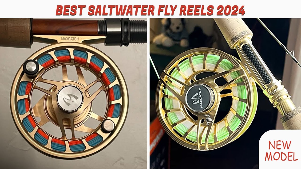 The Best Saltwater Fly Reels of 2024! 🎣🌊 Your Ultimate Guide to ...