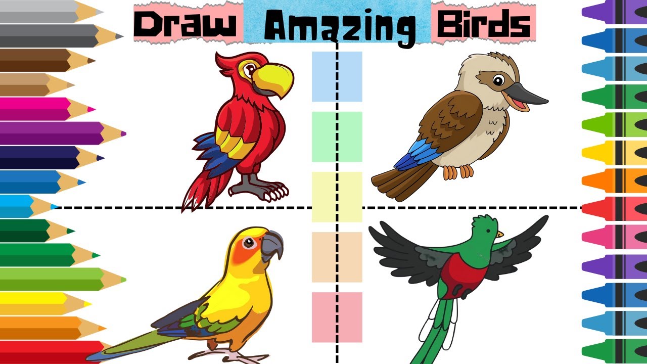 How to Draw Kookaburra, Scarlet Macaw, Quetzal & Sun Conure | Easy ...