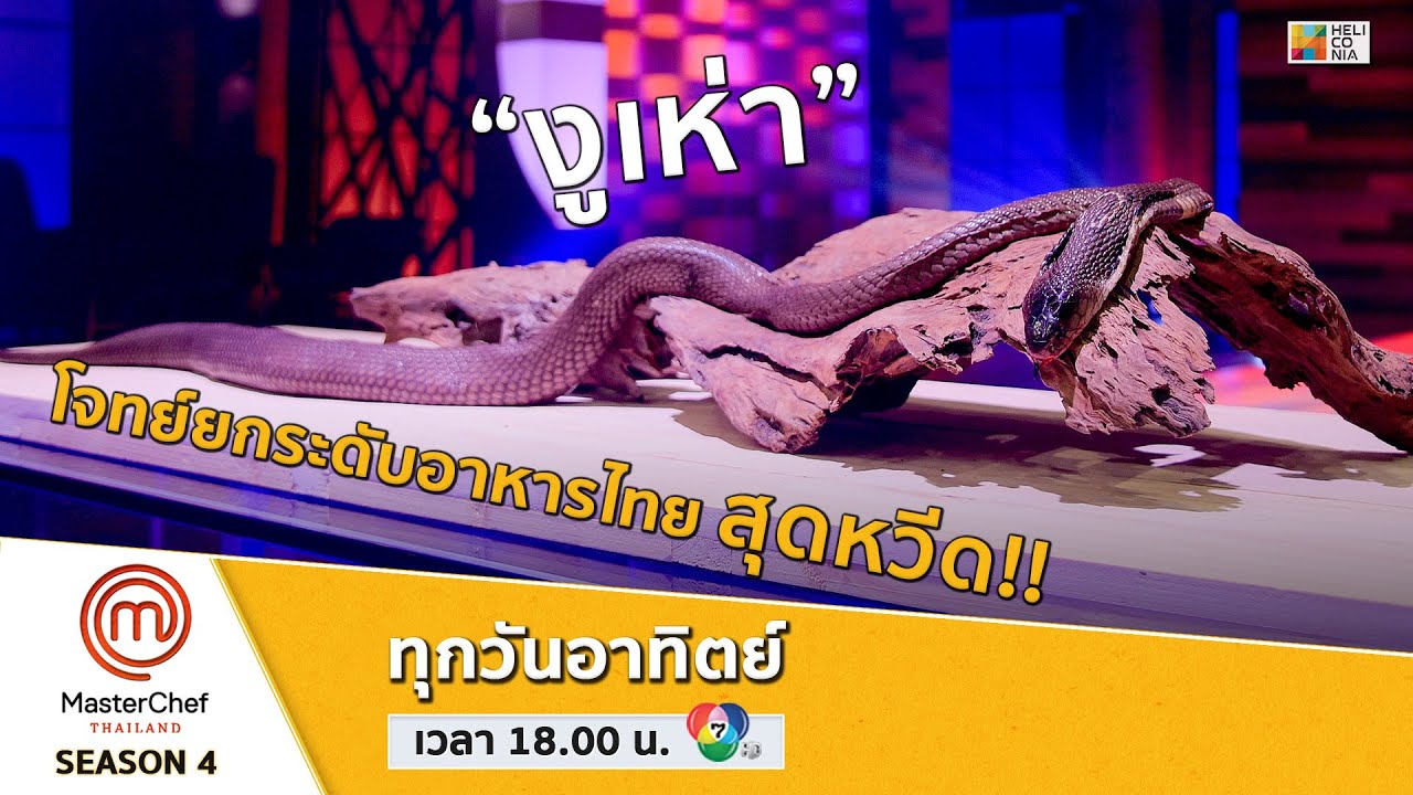 [Intro] โจทย์สุดกรี๊ด กับ "งูเห่า" ประเดิมรอบชิงผ้ากันเปื้อน MasterChef ...