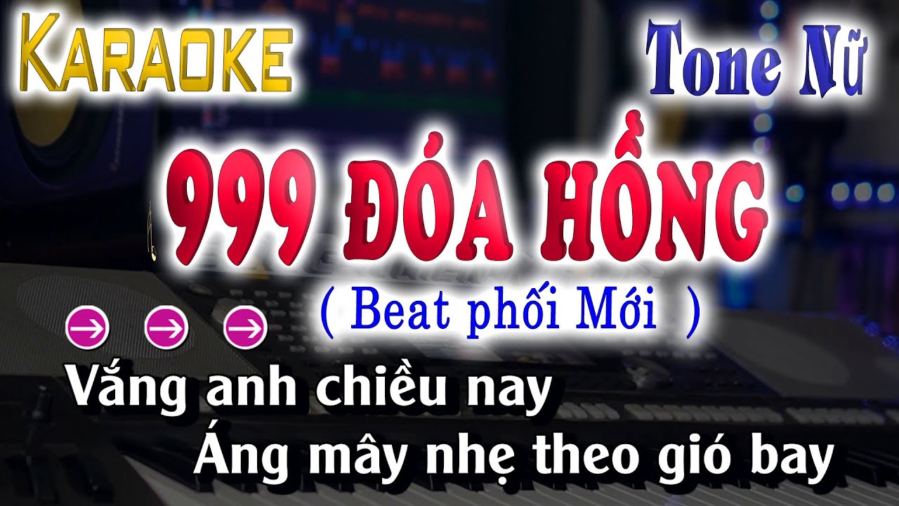 999 ĐÓA HỒNG KARAOKE TONE NỮ ( BEAT PHỐI MỚI ) SONG NHIEN KARAOKE - YouTube