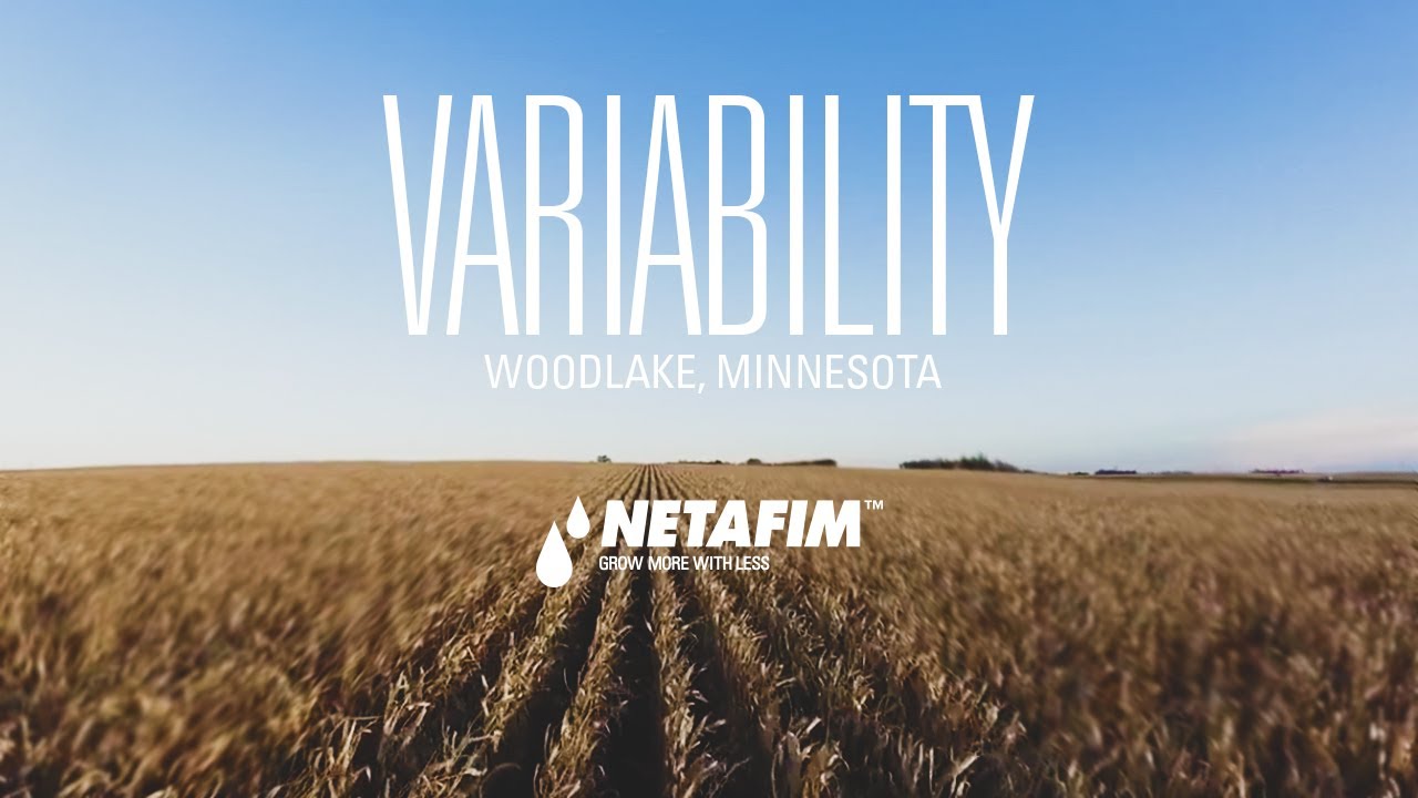 Variability Youtube 2569