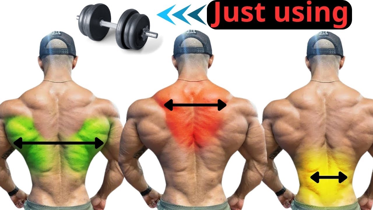 Effective exercises to strengthen the back muscles using only dumbbells ...