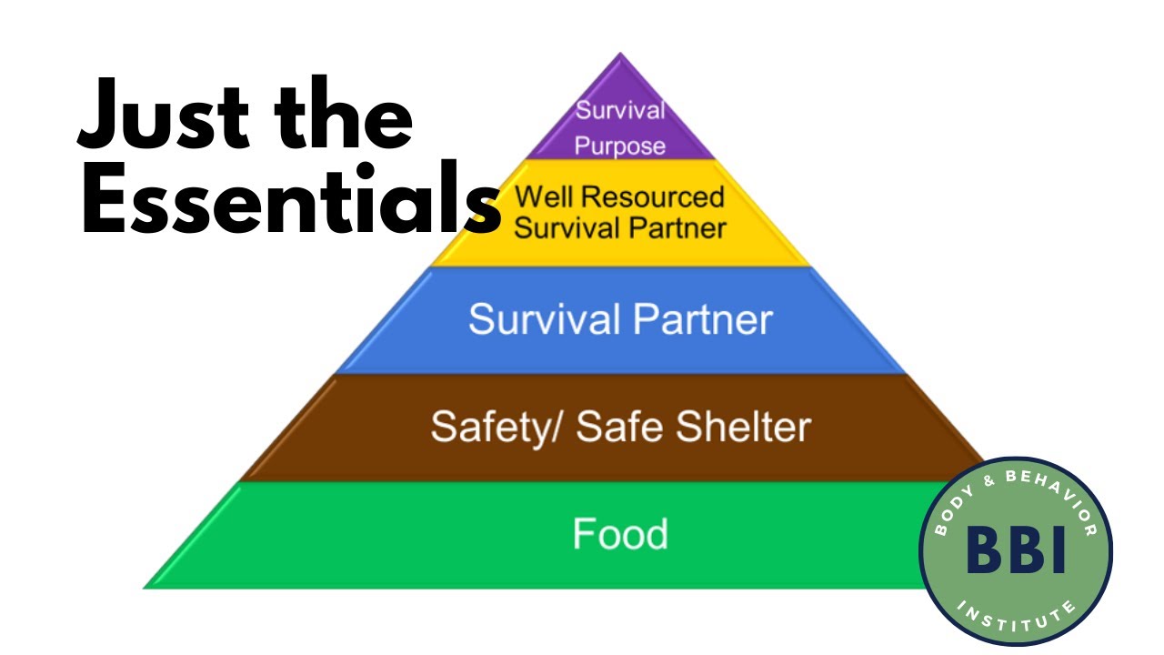 Hierarchy of Survival Resources - YouTube
