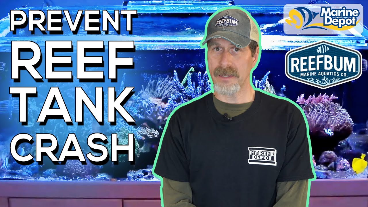 Reef Tank Crash Prevention! | Tips and Backups To Prevent Disaster with ...