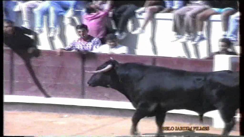 MOITA 1994 - YouTube