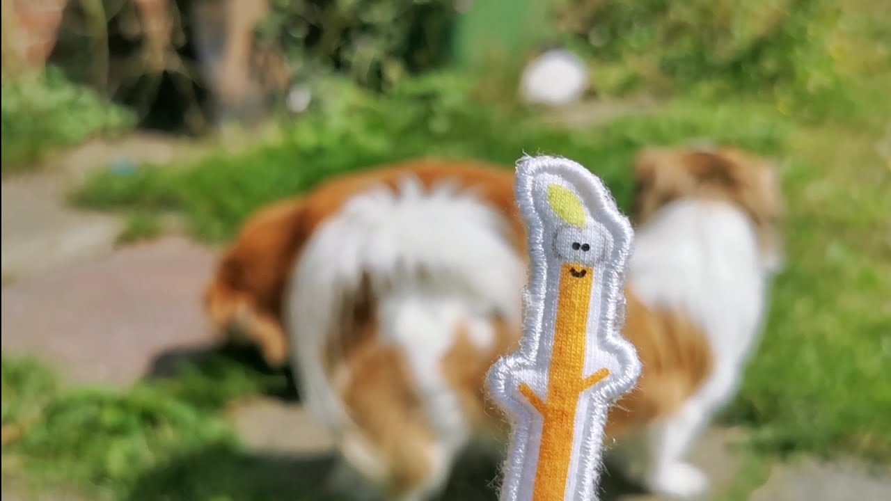 Stick song | Sticky sticky stick song from Hey Huggee - YouTube