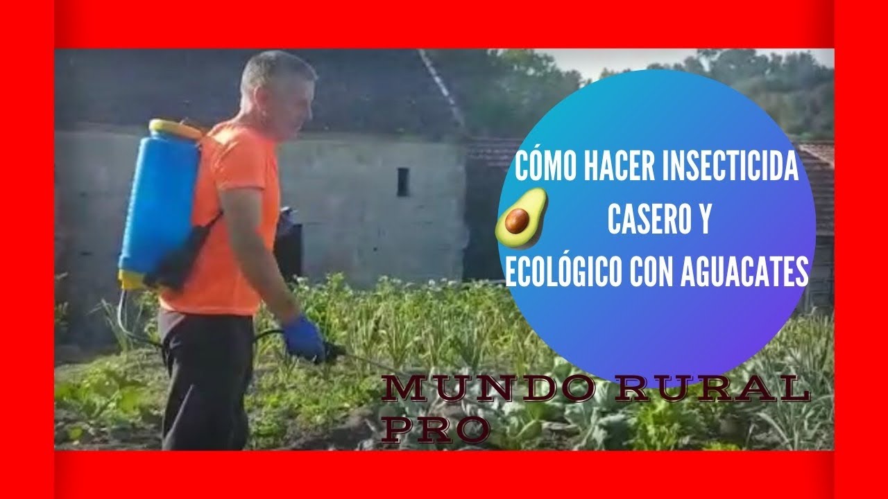 El Mejor INSECTICIDA Casero y ECOLÓGICO || MUNDO RURAL || [*FUNCIONA ...