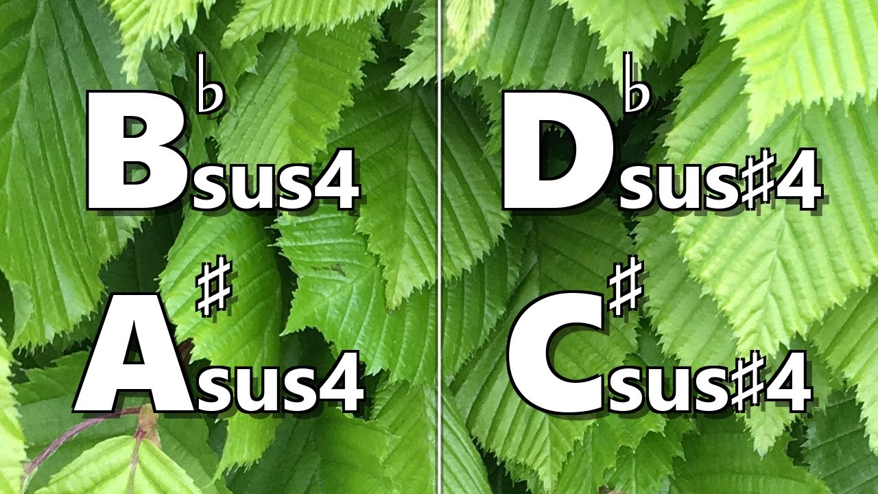 Bbsus4 (A#sus4) to Dbsus #4 (C#sus #4) Backing Track - YouTube