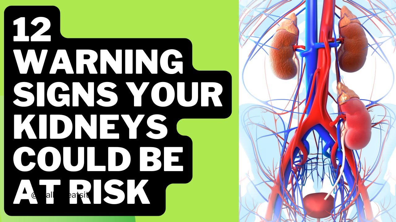 12 warning signs your kidneys could be at risk | Vital Spark Insights # ...
