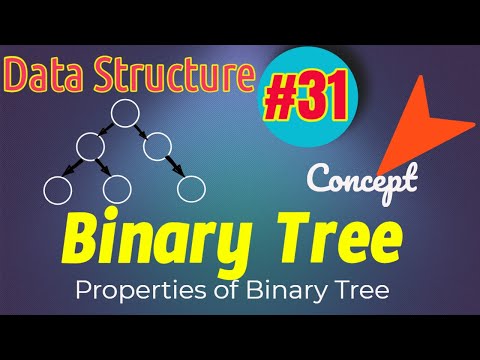 Data Structure Tutorial #31:  Binary Tree | Properties of Binary tree