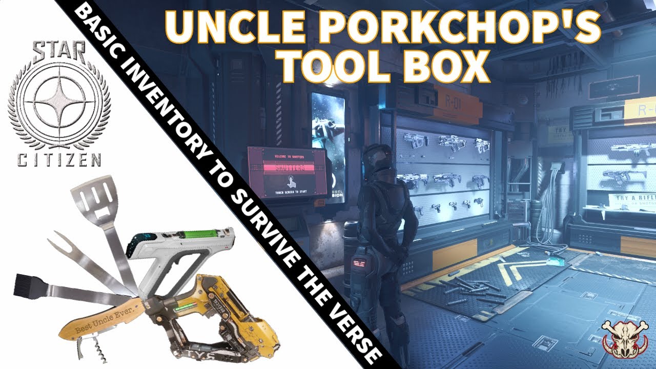 Star Citizen Inventory Guide: The Basic Essentials To Survive The Verse ...