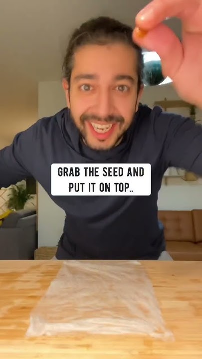 How to Grow a Plum Tree | creative explained - YouTube