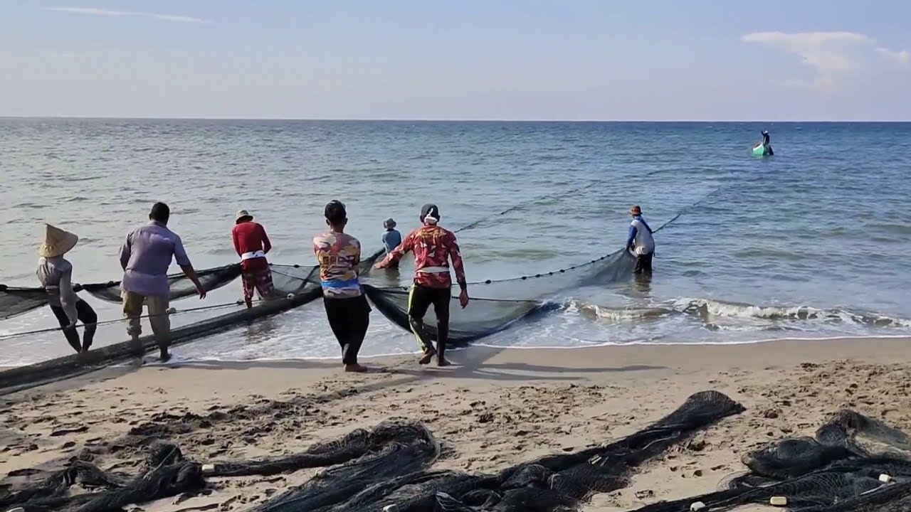 Tarik Pukat Pantai Laut Jangka, Nelayan Tradisional Menjaring Ikan Laut ...