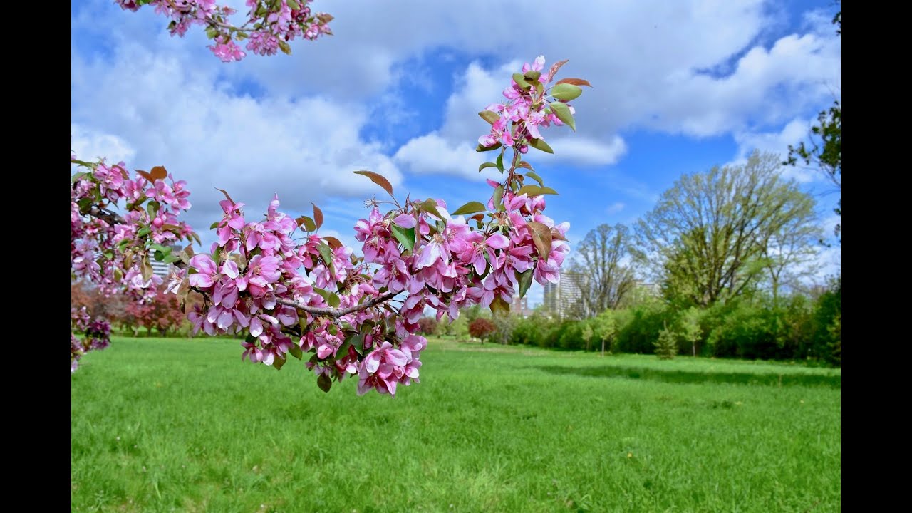 Four Seasons in Canada... - YouTube