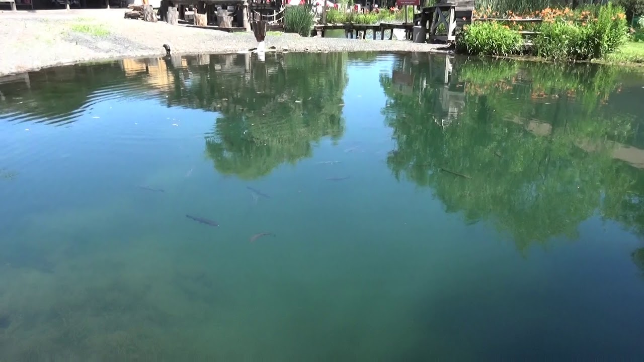 garik fishing trout - YouTube