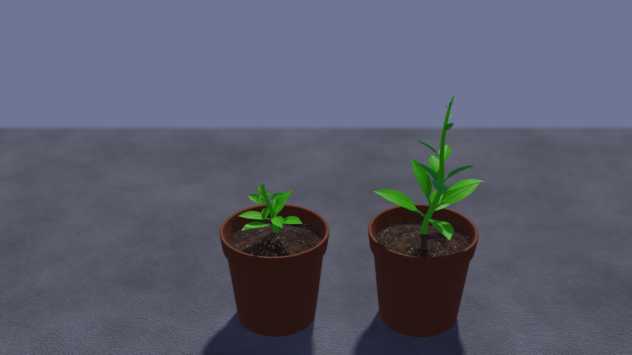 Plant Growth Animation 4k made with Blender Geometry Nodes. - YouTube