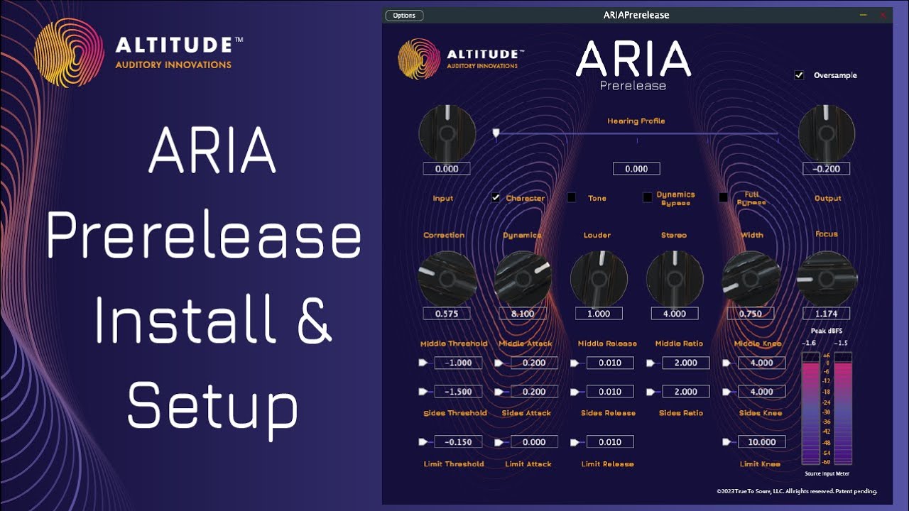 ARIA Prerelease Install and Setup: Experience Sound Personalization in 60 Seconds - YouTube