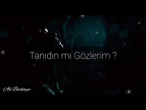 Tanıdın mı Gözlerim - Ali Bozkaya