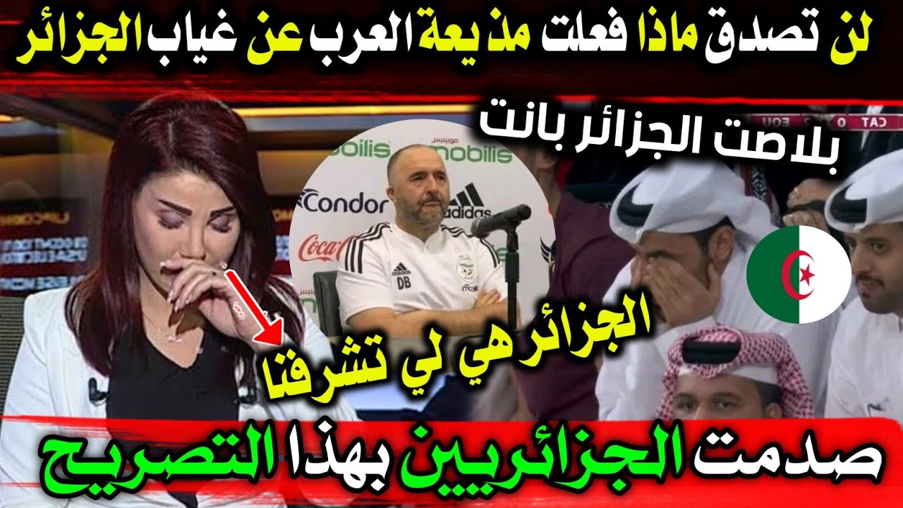 لن تصدق ماذا قالت مذيعة العرب عن غياب الجزائر عن كأس العالم تصريح هز