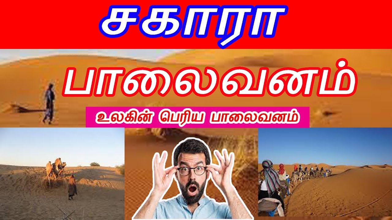 சகாரா பாலைவனத்தப் பத்தி தெரிஞ்சிக்கலாமா?/sagara palaivanam tamil/sahara ...