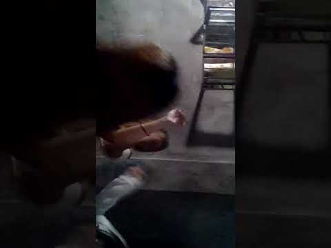 NewYears Eve dancing Hot'mAmA's(9)