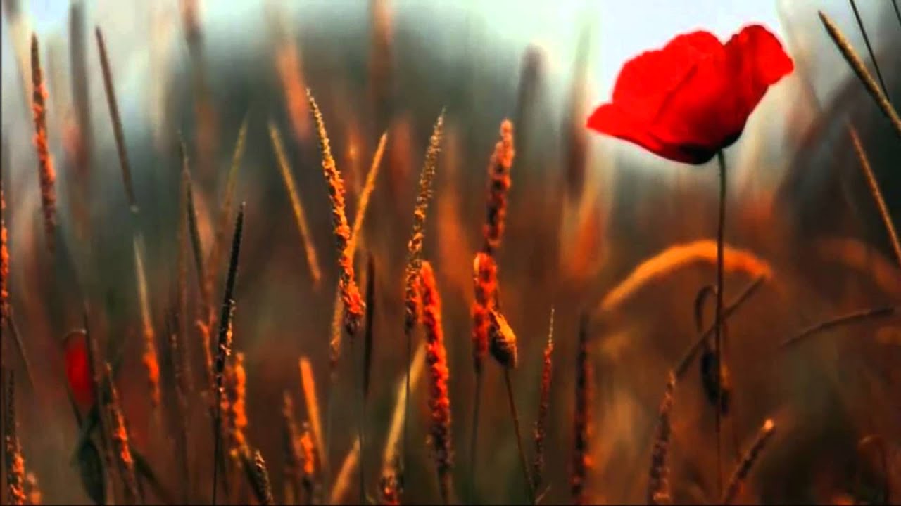 Renata Sabljak - Rijeka Mura tiho šumila - YouTube