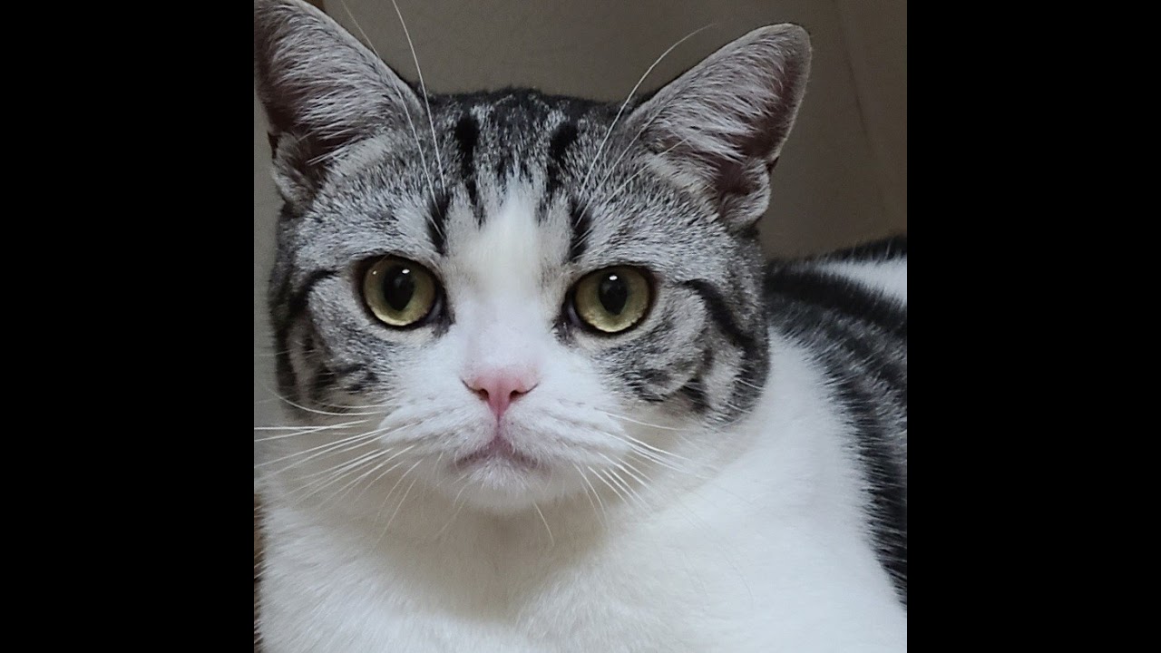 [FC25/CLUB] Imagination FC practice match_2025 - YouTube