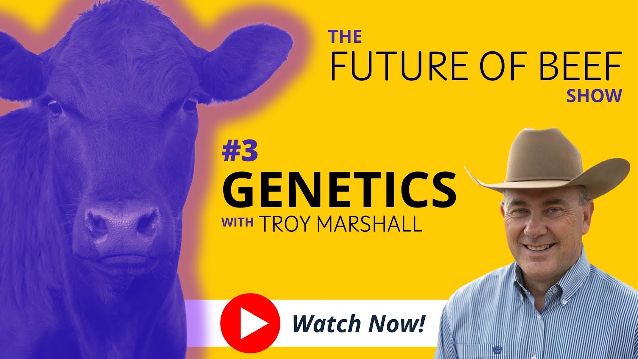 Episode 3: Genetics with Troy Marshall - YouTube