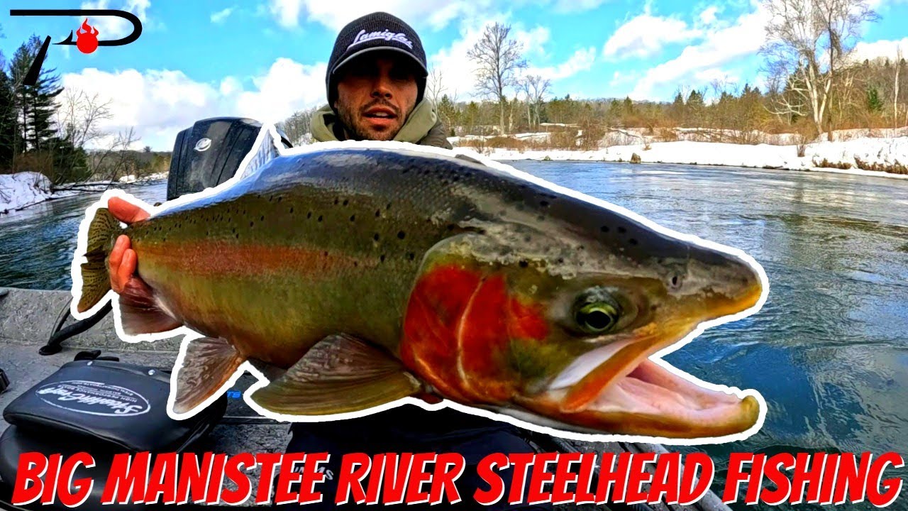 Big Manistee River Steelhead Fishing - YouTube