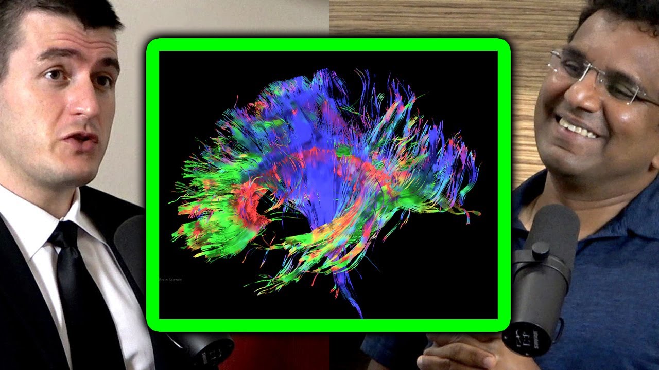 Building a model of the brain | Dileep George and Lex Fridman - YouTube