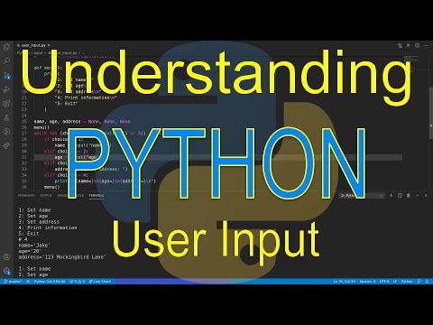 Understanding Python: User Input - YouTube