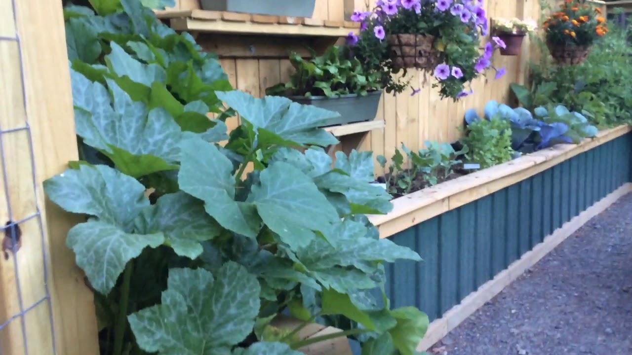 Garden - YouTube