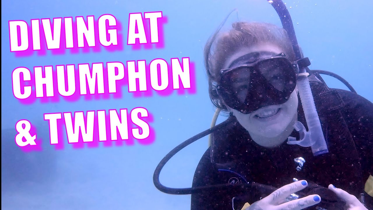 SCUBA diving at Chumphon Pinnacle & Twins, Koh Tao, Thailand 2020 - YouTube