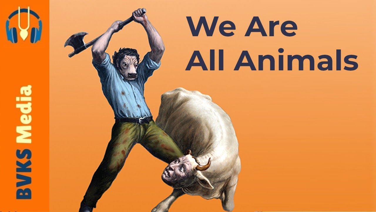 We Are All Animals - YouTube