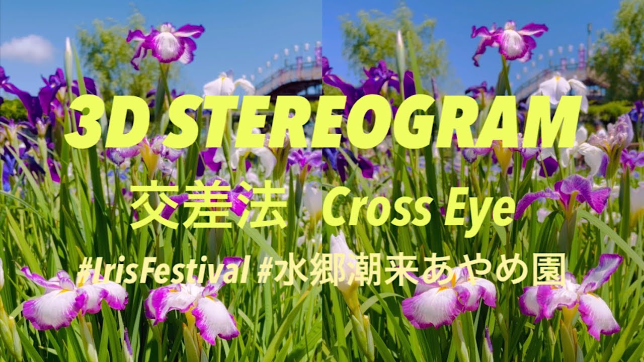 STEREOGRAM (Cross Eye 3D VR) | 交差法☆ステレオグラム | C37 STEREOSCOPIC - YouTube
