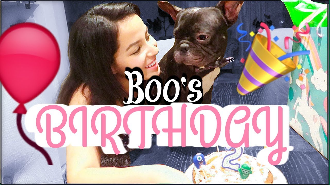 BOO TURNS 2 YEARS OLD🎈🎉💞🎂 - YouTube