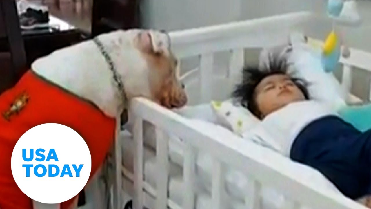 Dog watches over baby while mom is away | USA TODAY - YouTube