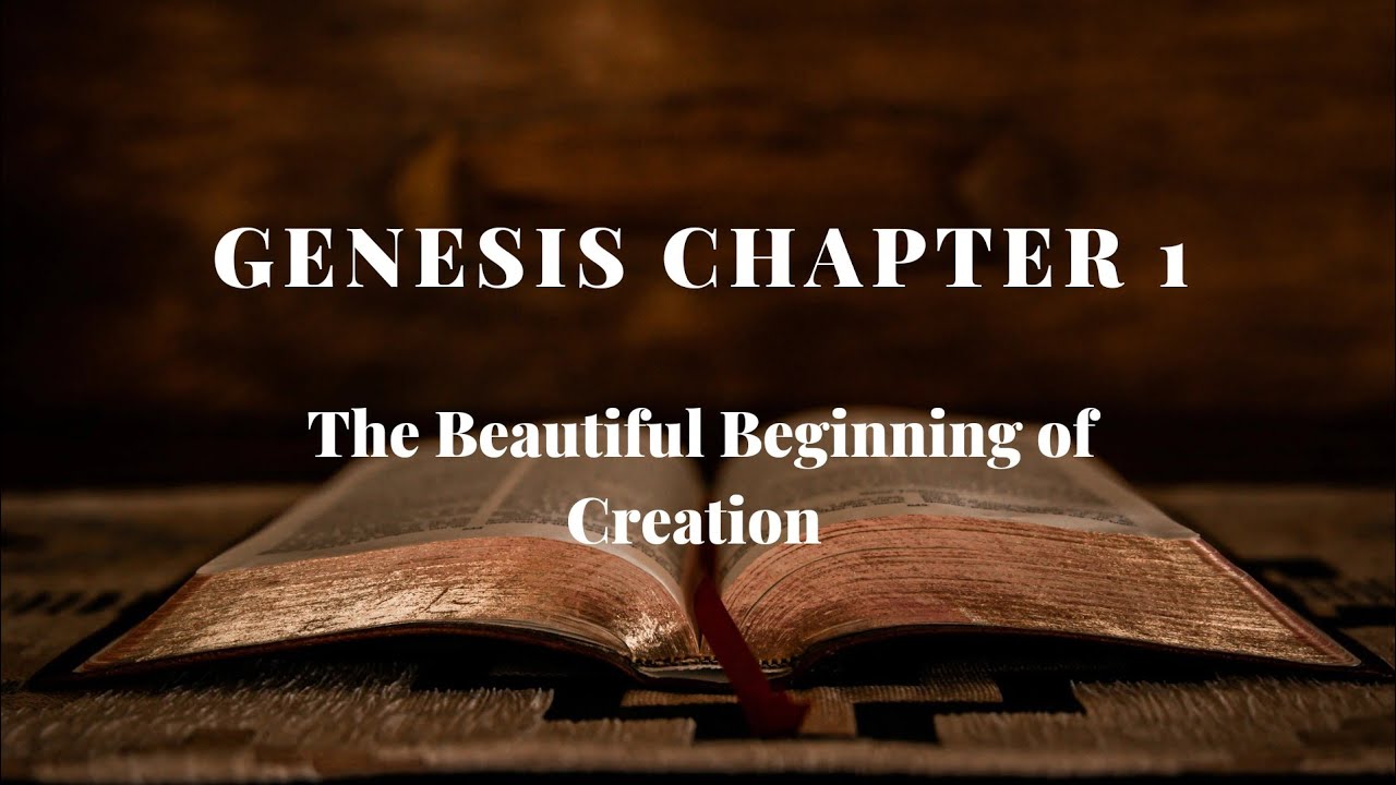 Holy Bible Audio: GENESIS 1 The Beautiful Beginning of Creation | bible ...